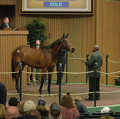 Keeneland April Horses of Racing Age sale is Monday - Lane Report ...