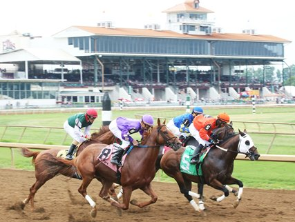 Castle Hill makes first historic horse racing machine installation in ...