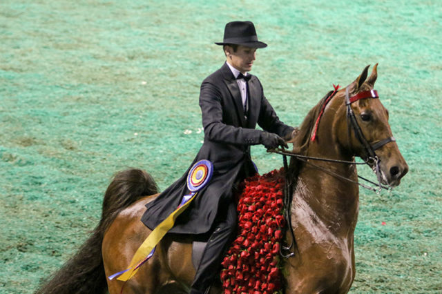 World’s Championship Horse Show announces additional prize money