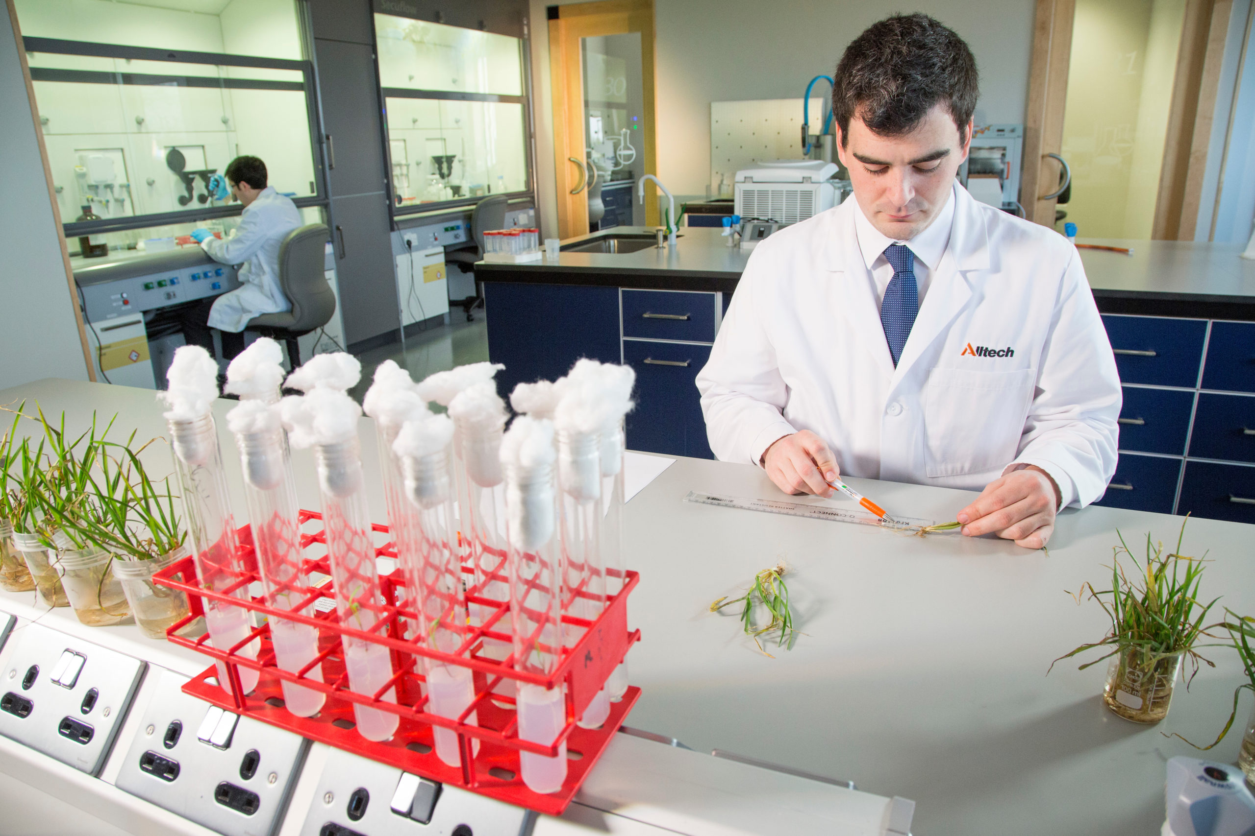 Alltech, Helm Agro partner to help growers realize a crop's genetic ...