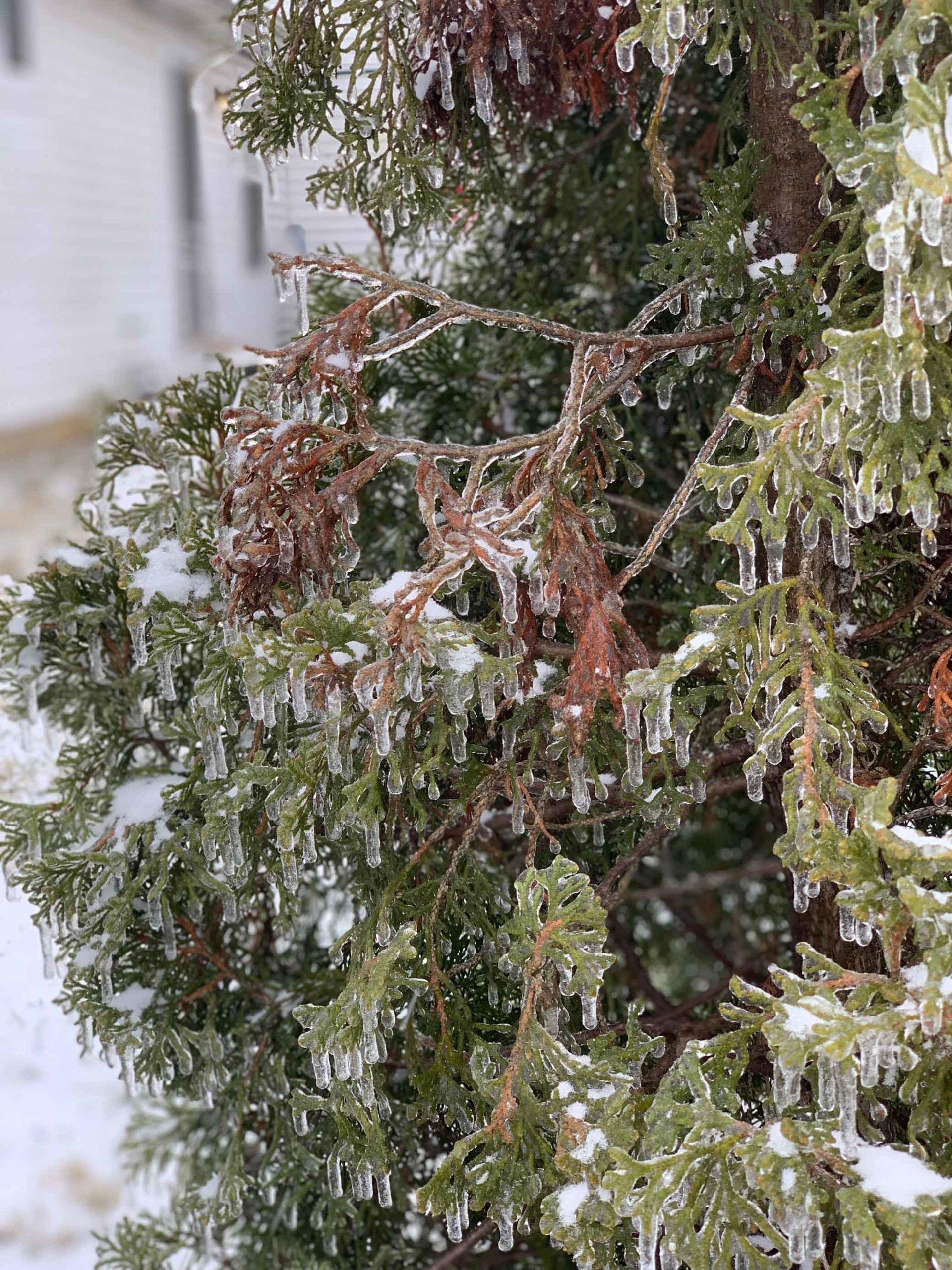 Ice storm update: Lexington crews continue treating roadways - Lane ...