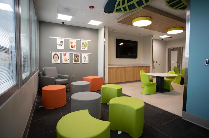 New pediatric Behavioral Health Unit focuses on healing, recovery ...