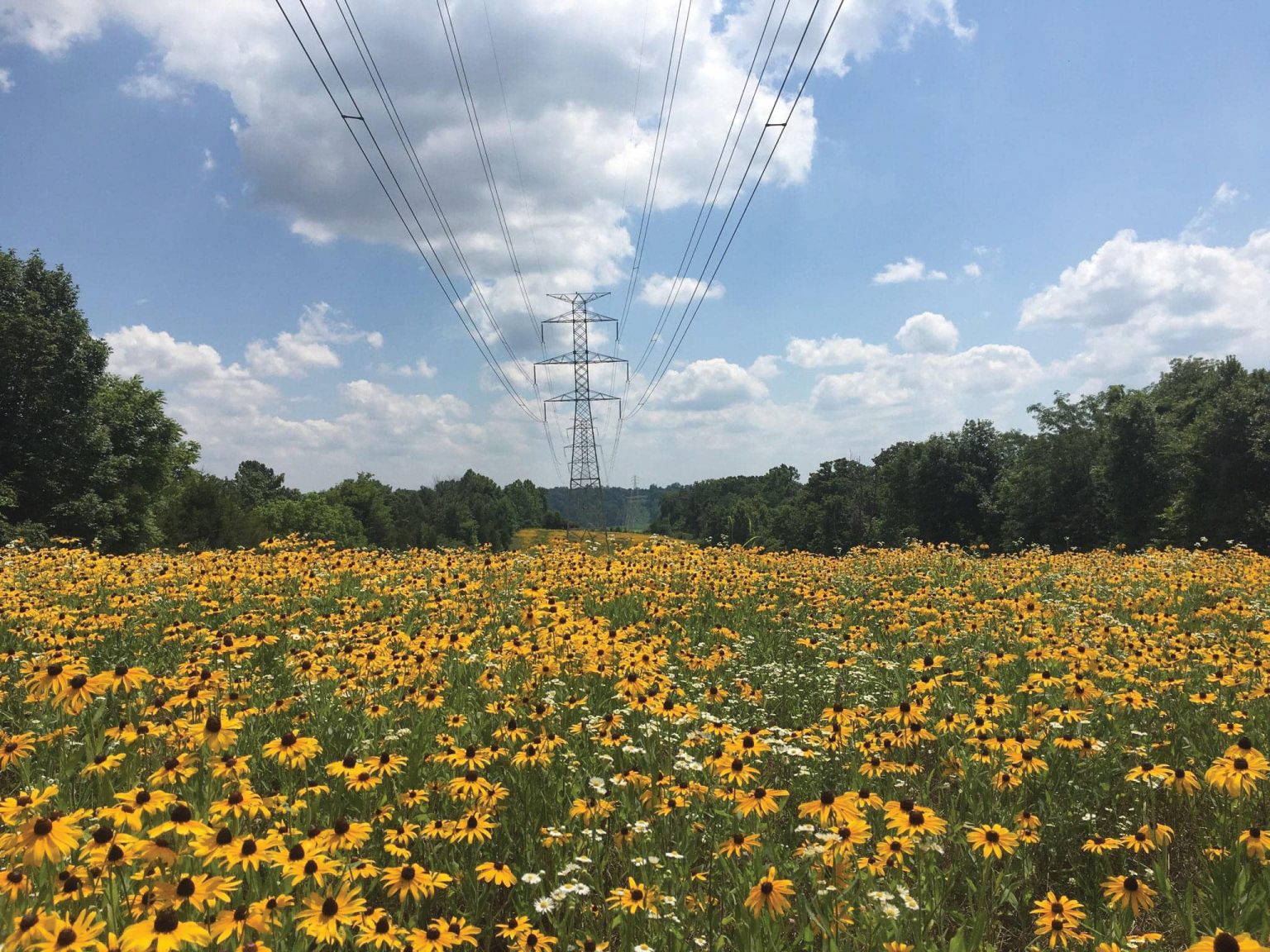 Utilities: KEEPING KENTUCKY POWERED UP - Lane Report | Kentucky Business & Economic News