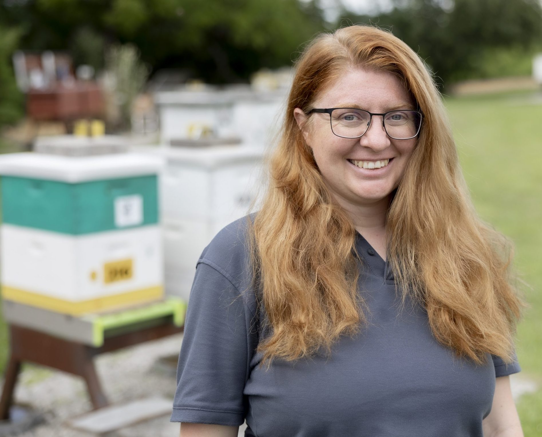 Bee-ing prepared: How UK education equipped the state's new apiarist ...