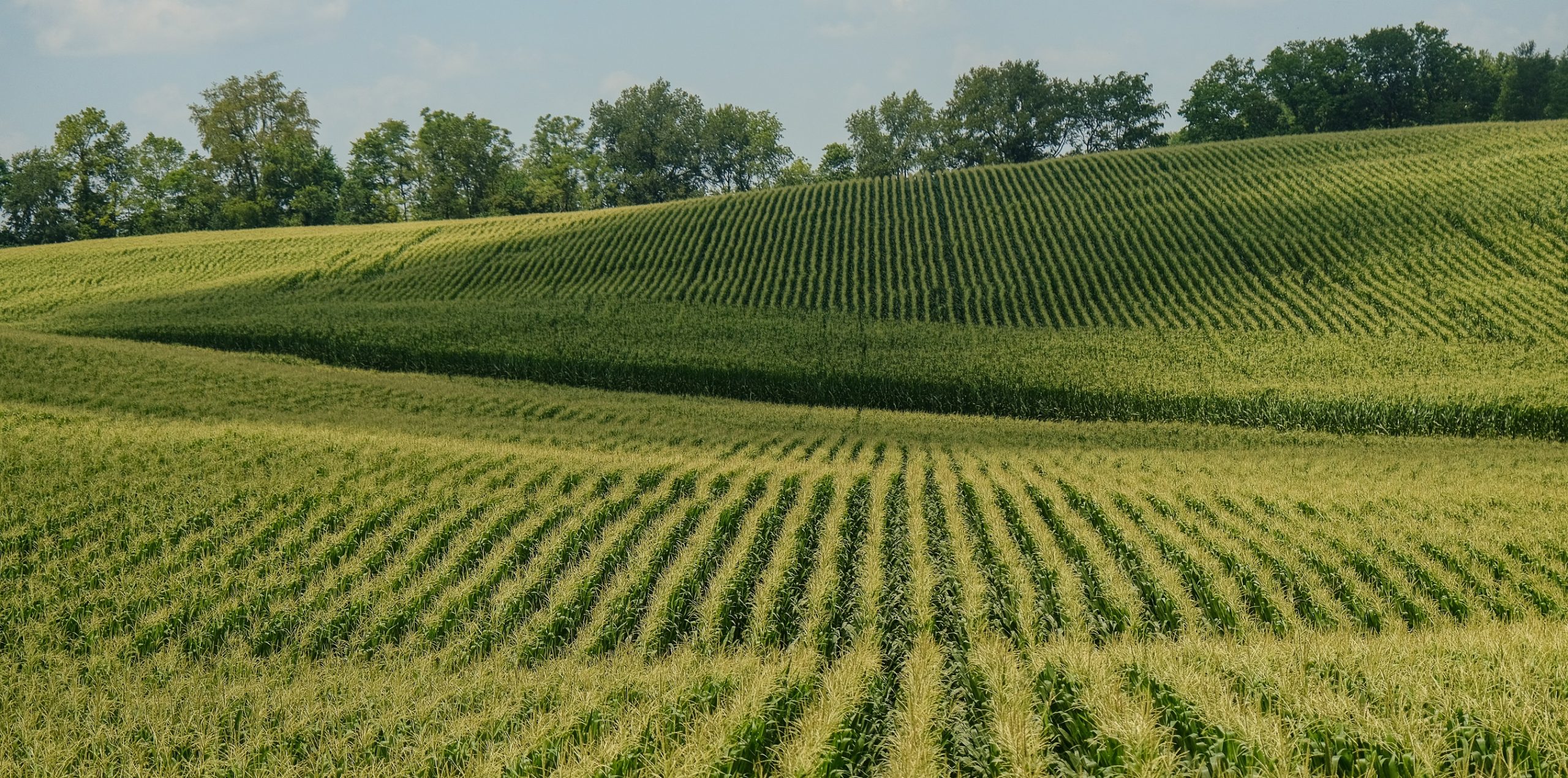 Kentucky Crop Health Conference to bring local, national experts - Lane ...