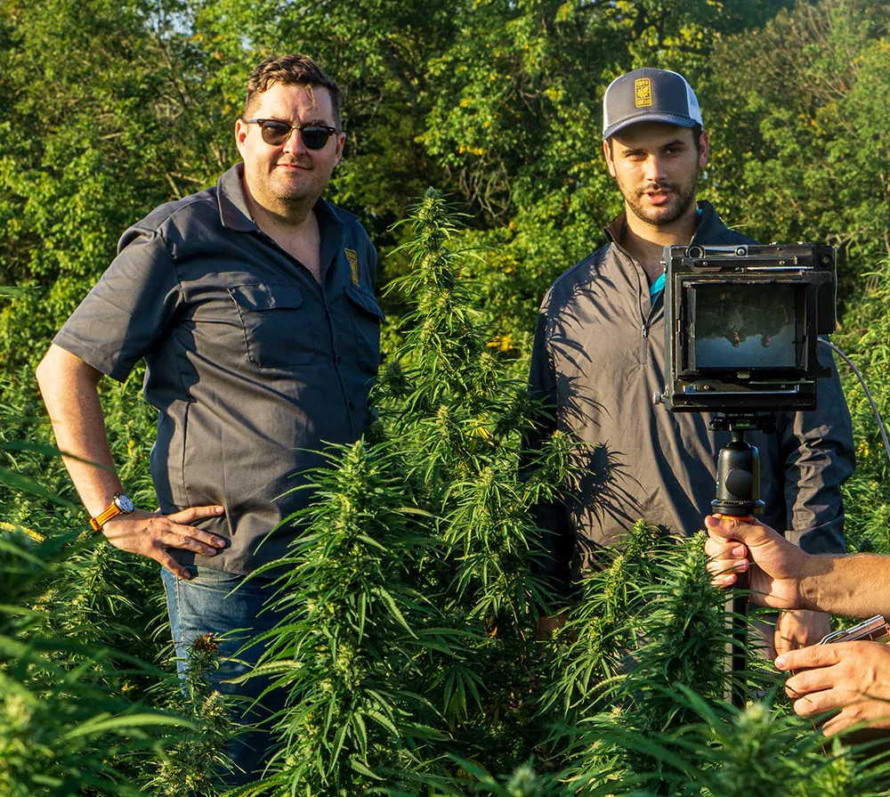 Cornbread Hemp's $1M expansion bringing 50 jobs - Lane Report | Kentucky Business & Economic News