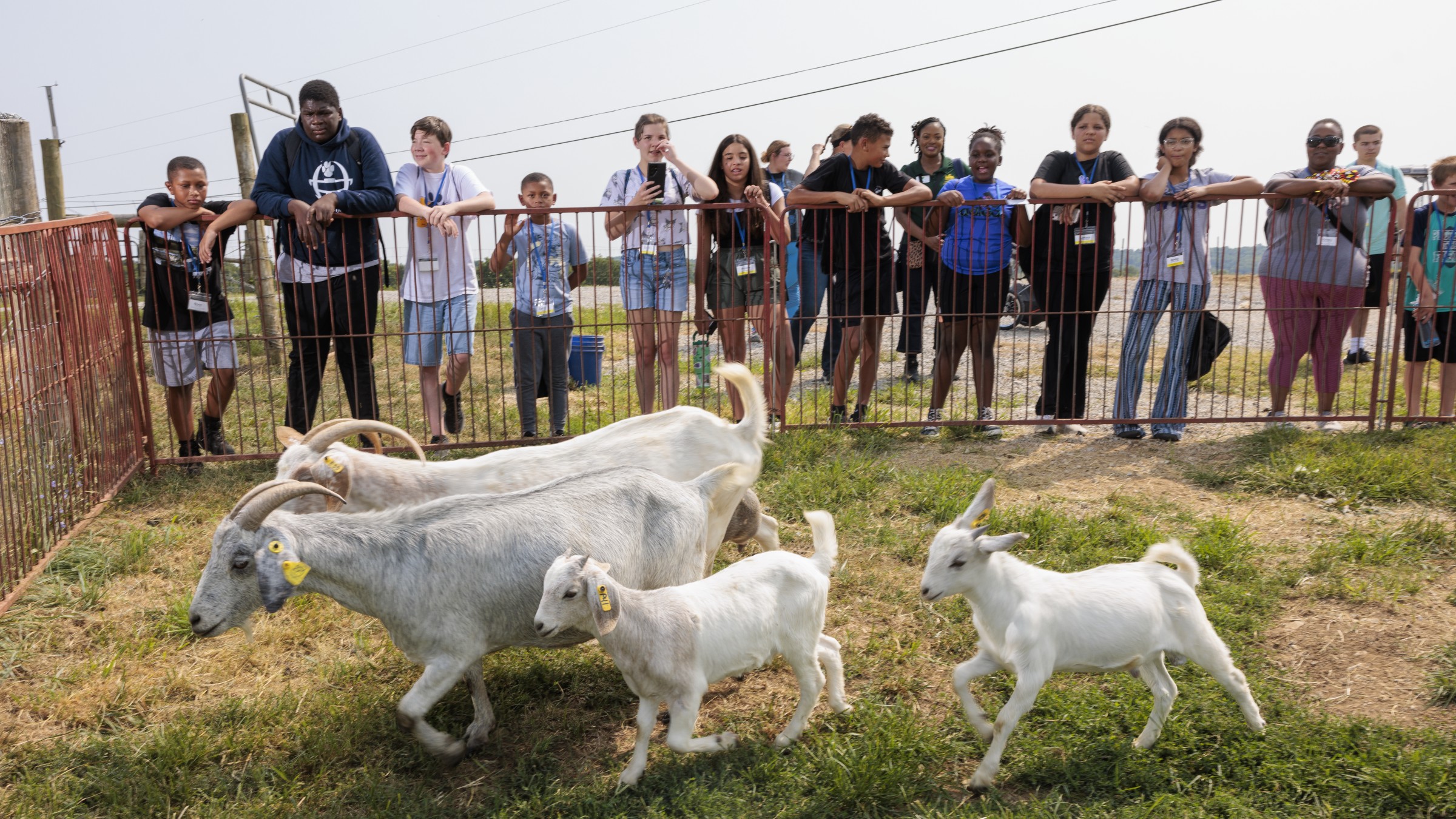 UK, KSU partnering to promote help for at-risk children, families ...