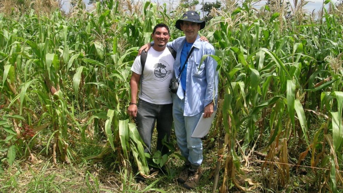 'Everything comes from plants' as UK prof has taught students for 35 ...
