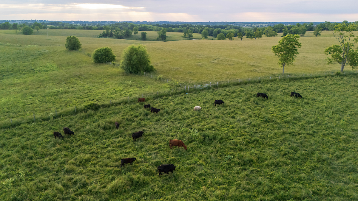 Over $11 Million secured for Kentucky agriculture and rural communities ...