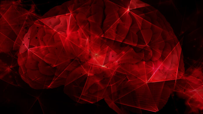 UofL researchers create world’s largest brain tumor database to speed ...