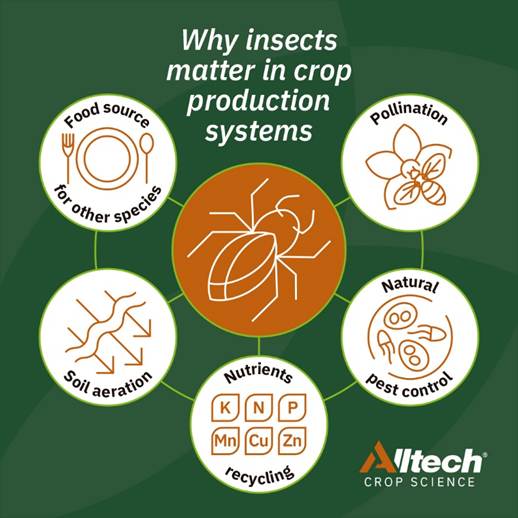 Silent crisis: Rapid drop in insect diversity due to farming threatens ...