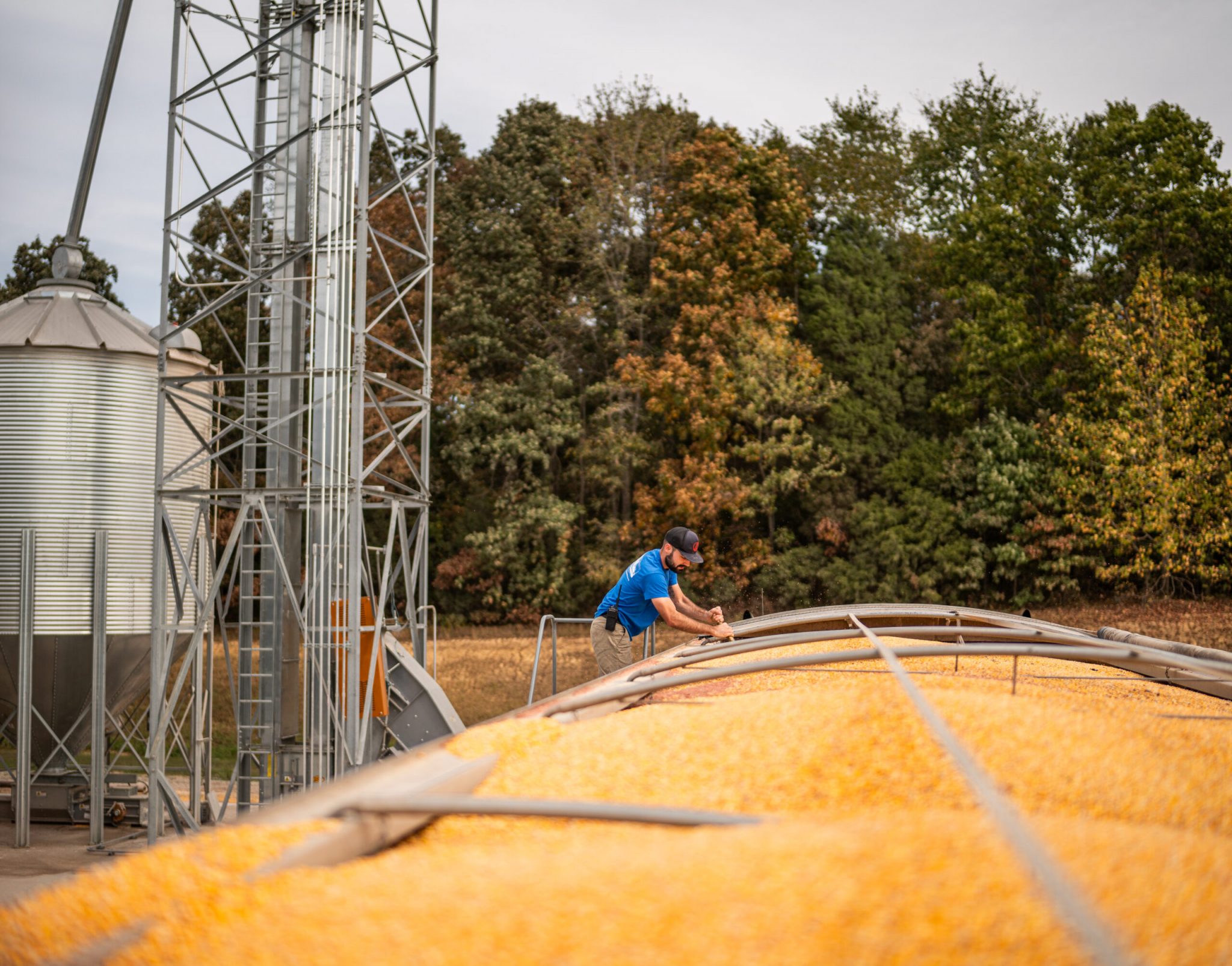 What could be a record Kentucky 2025 corn harvest begins - Lane Report ...