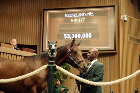 Up 24%, Keeneland September Yearling Sales rings up record $531M - Lane ...