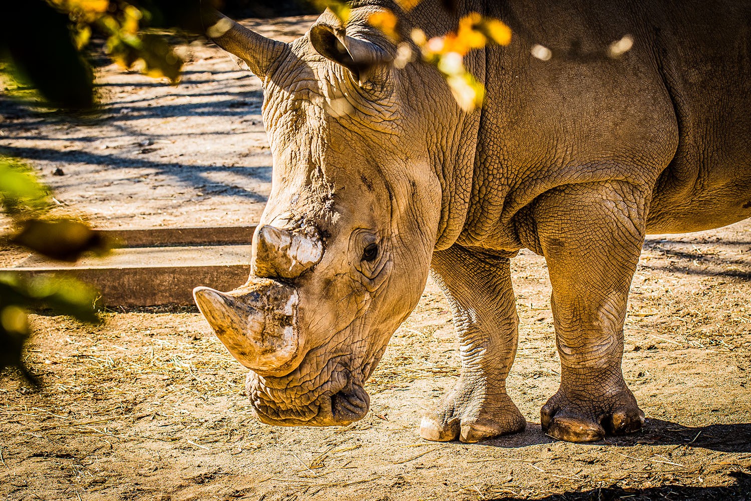 Save on Louisville Zoo admission with a canned food item during Wild ...