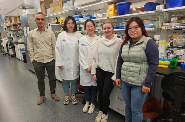 Markey study finds key pathway in prostate cancer bone metastatic ...