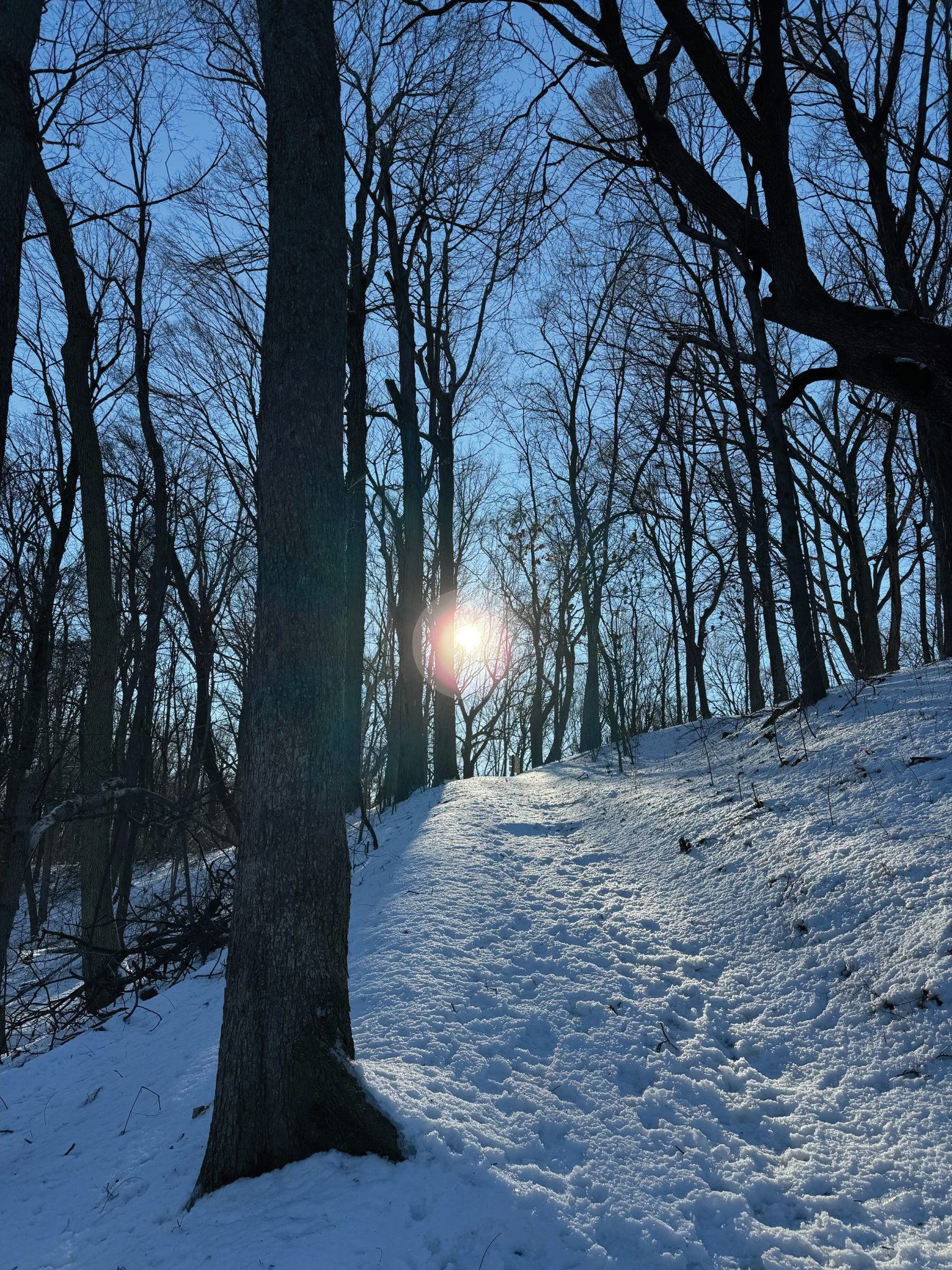 Exploring Kentucky: Park It in the Wintertime - Lane Report | Kentucky ...